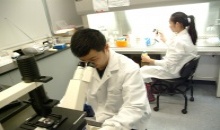 Biomedical Engineering